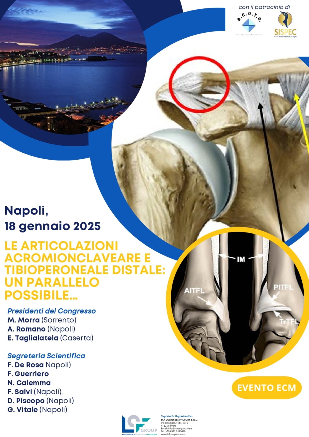 Le articolazioni acromionclaveare e tibioperoneale distale: un ...